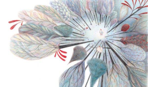 Reseña del álbum ilustrado "Érase una vez una jaula" de Rodoula Pappa y ...